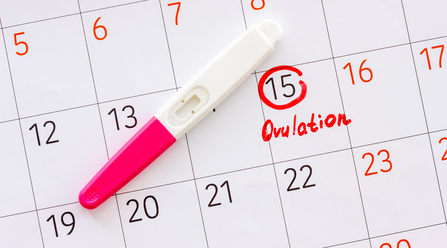 Identifying Your Fertile Window: A Guide to Natural Conception – The ...